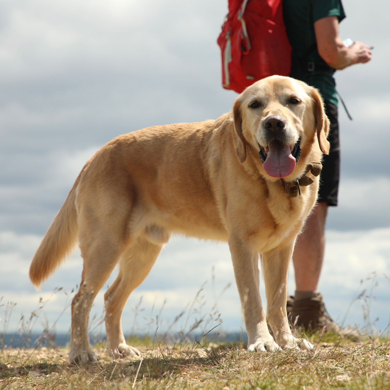 Gallery | millimetres2mountains